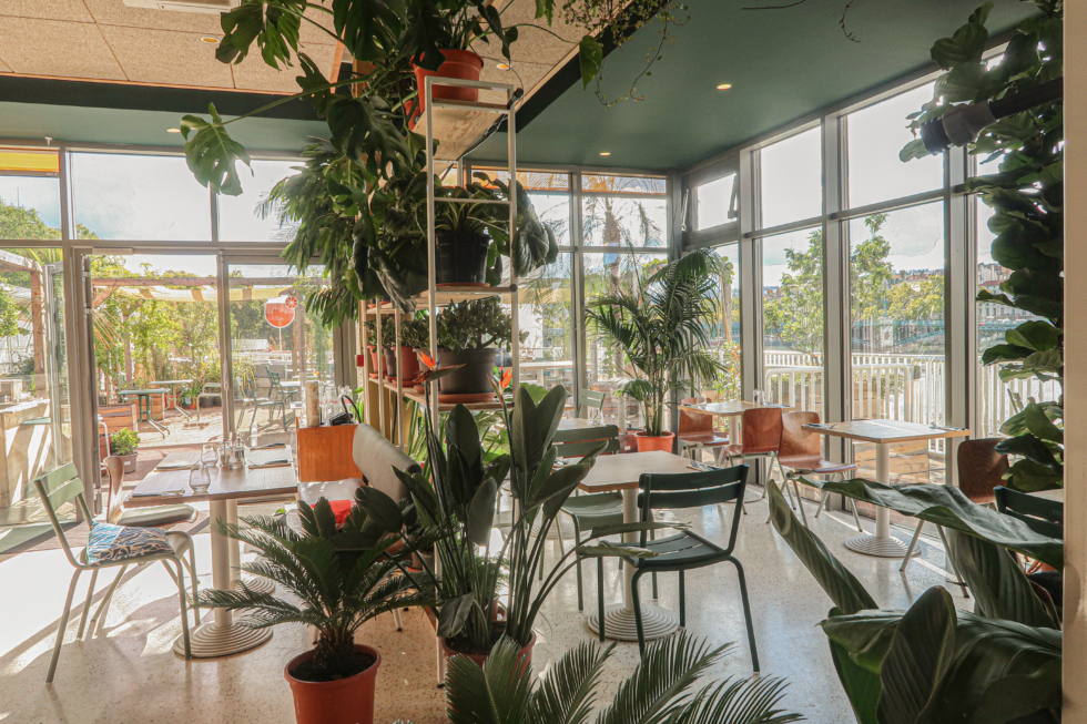 CONTACT - BOTANI café